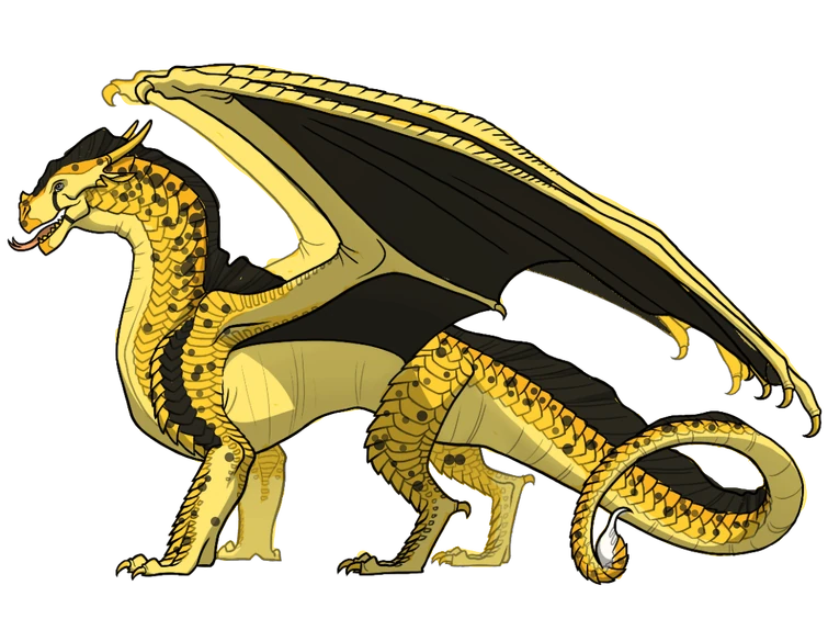 i colored some sandwing oc refs bc i felt like it. | Fandom