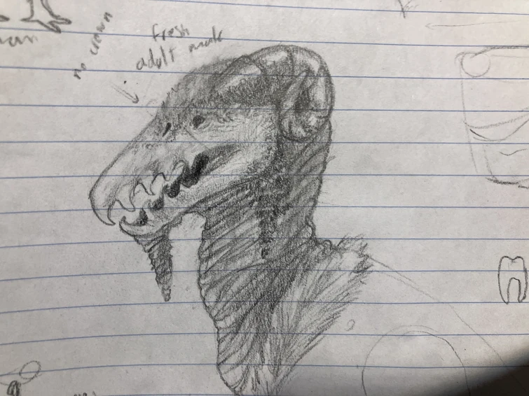 Gorgon | Fandom
