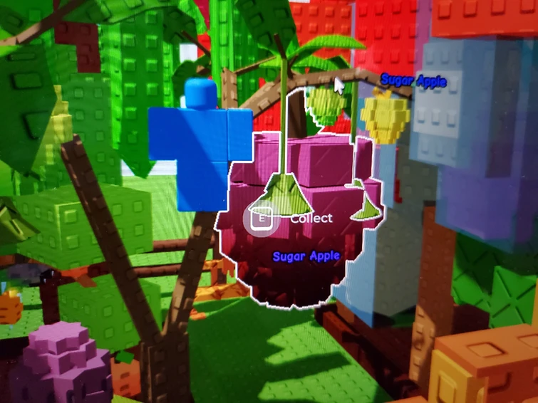 Why is my sugar apple purple | Fandom