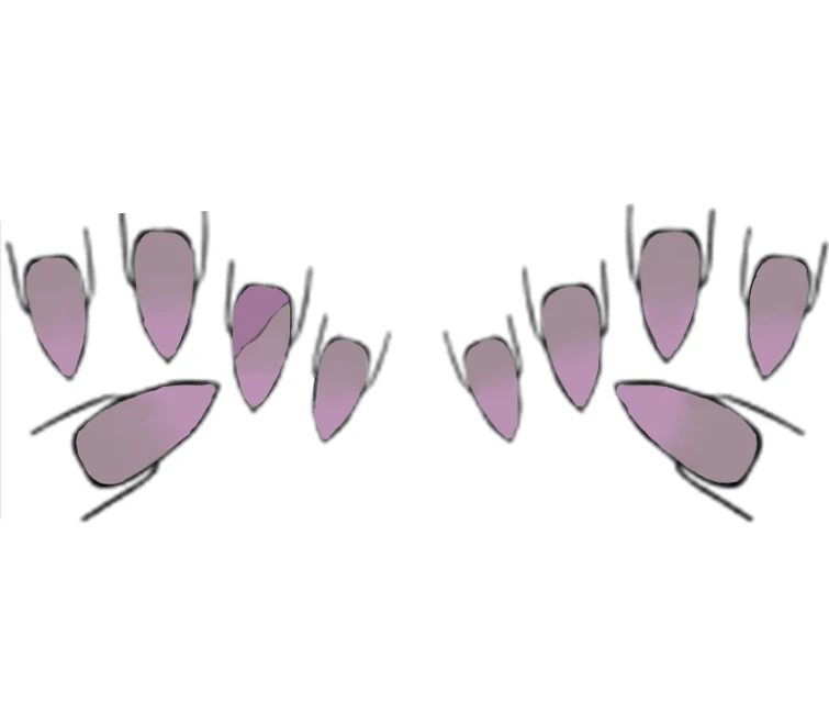 Fav songs as nails | Fandom