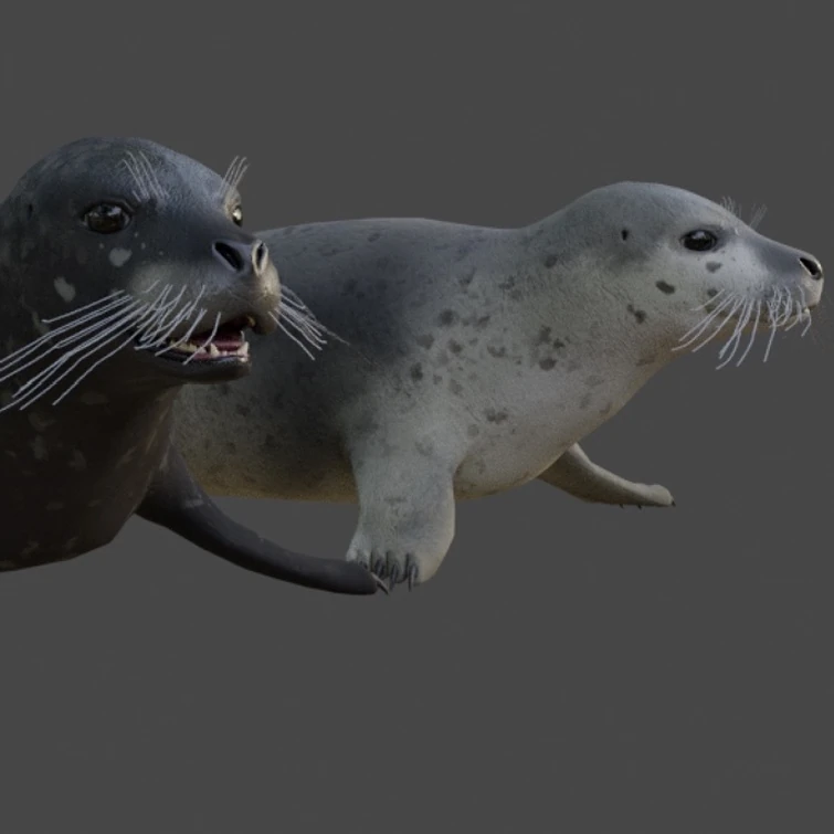 Discuss Everything About Oceanic (ROBLOX) Wiki | Fandom