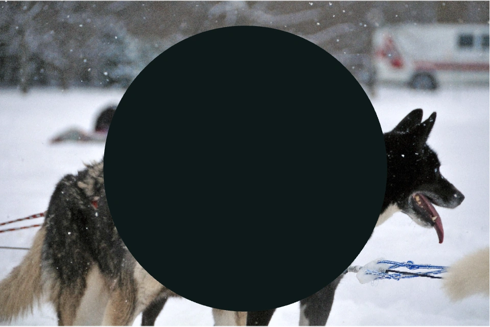 New Sticky nav background color coming soon | Fandom