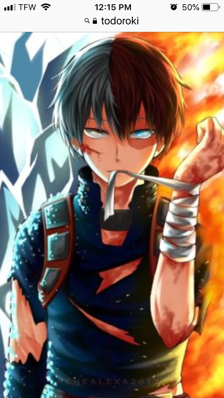Todoroki | Fandom