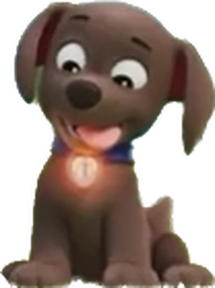 Zuma with his lighten up collar in no background | Fandom