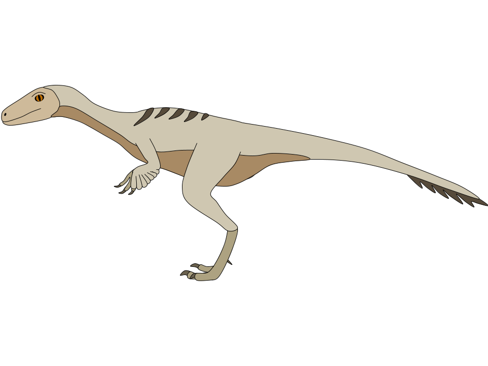 JWE2 Troodontid... but with feathers! | Fandom