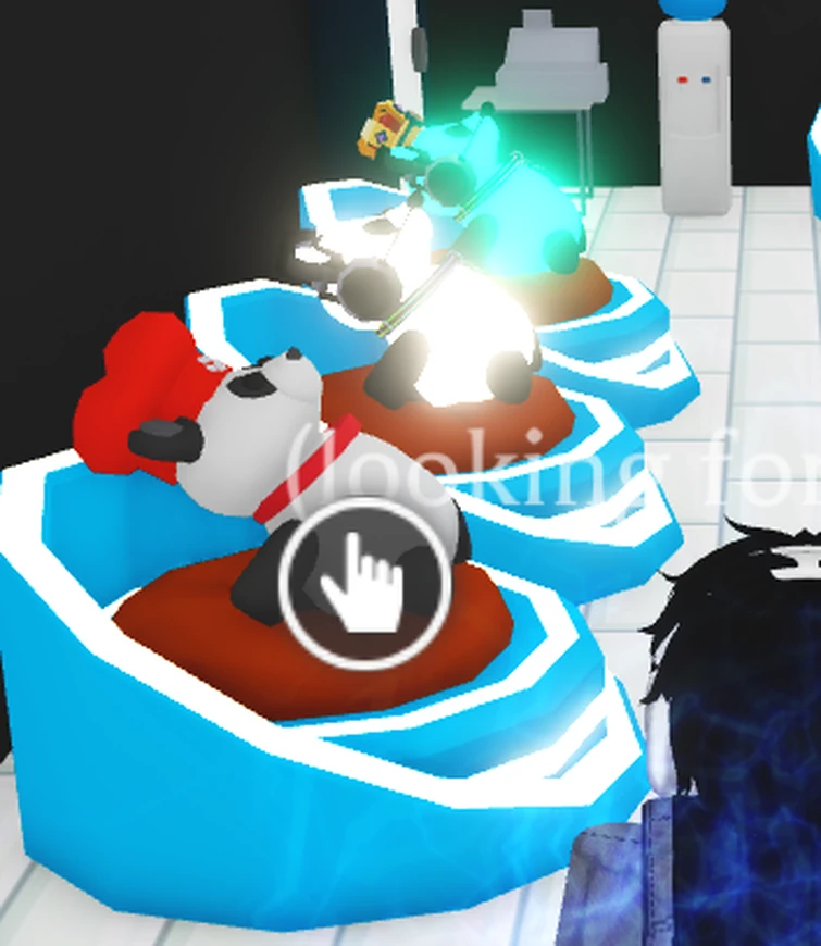 the panda squad 🍴 | Fandom