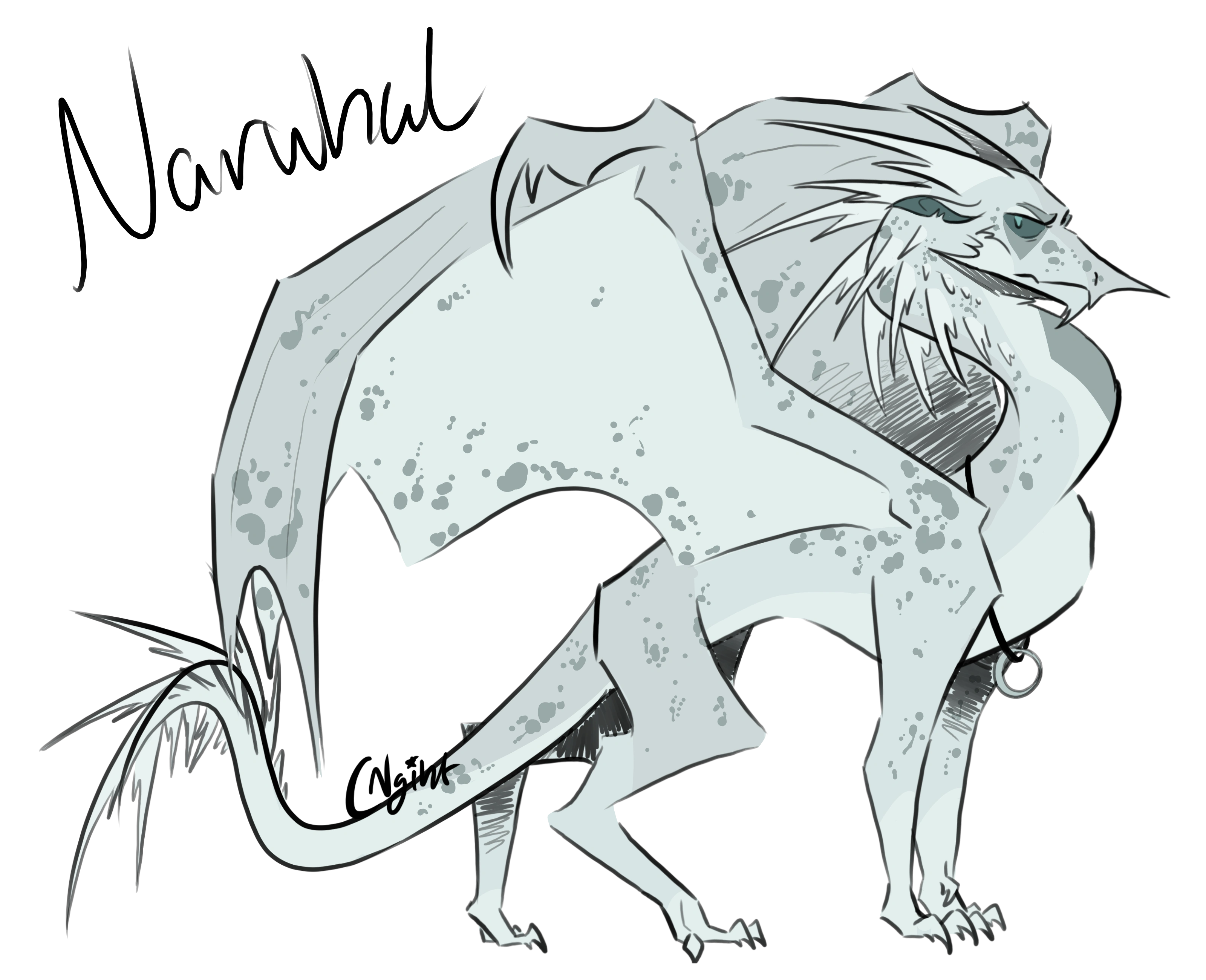 Canon Character Refs Revamped Day 45, Narwhal | Fandom