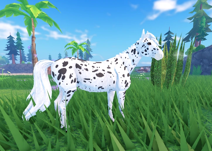 Leopard complex appaloosa | Fandom