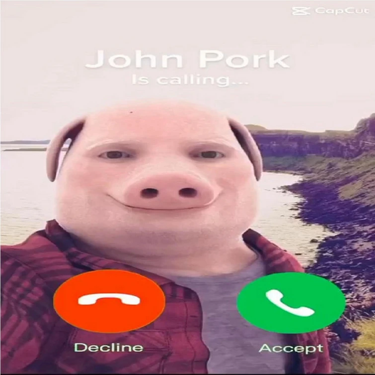 GUYS! WHO'S SIDE ARE YOU ON?! JOHN PORK OR TIM CHEESE? | Fandom