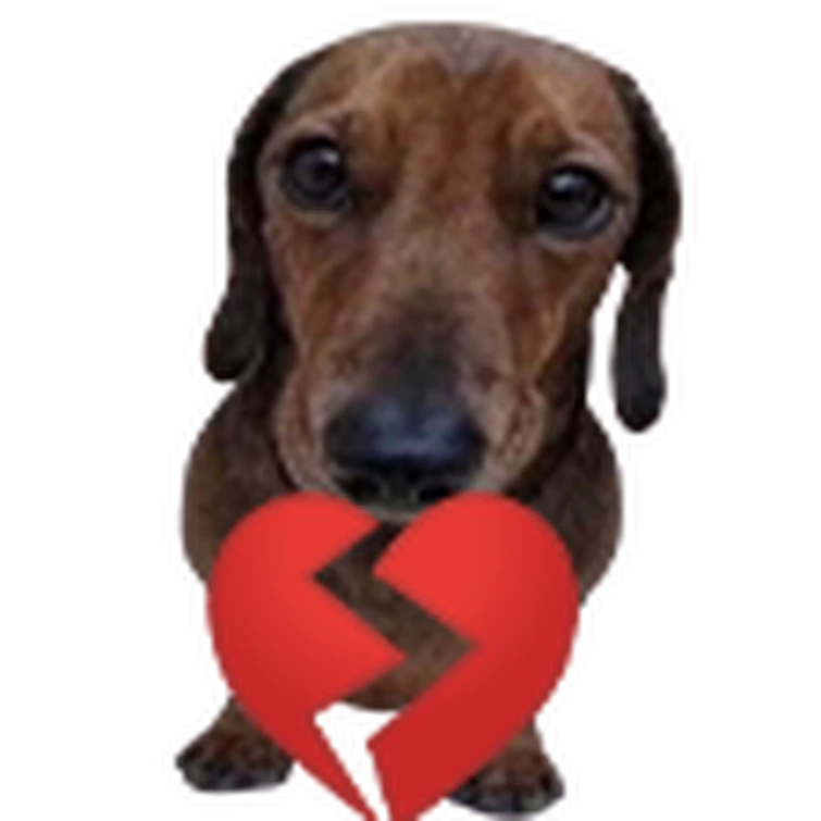 Hellllooooo I’m newww how are you guysssss | Fandom