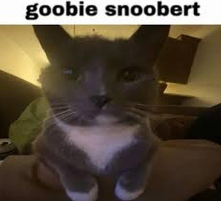 What is the most underrated skin in your opinion? | Fandom