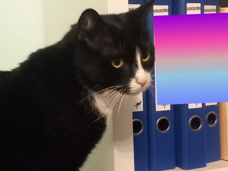 Discuss Everything About Silly Creatures Wiki | Fandom