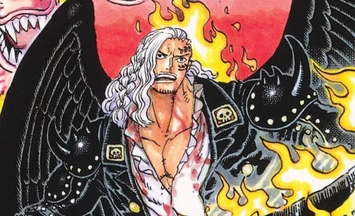 My 20 favourite OP character | Fandom