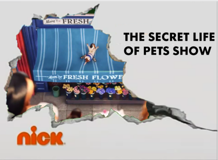 Nickelodeon Rebrand 2009 (Wall Break) Up Next Bumper - | The Secret ...