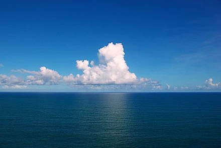 ocean | Fandom