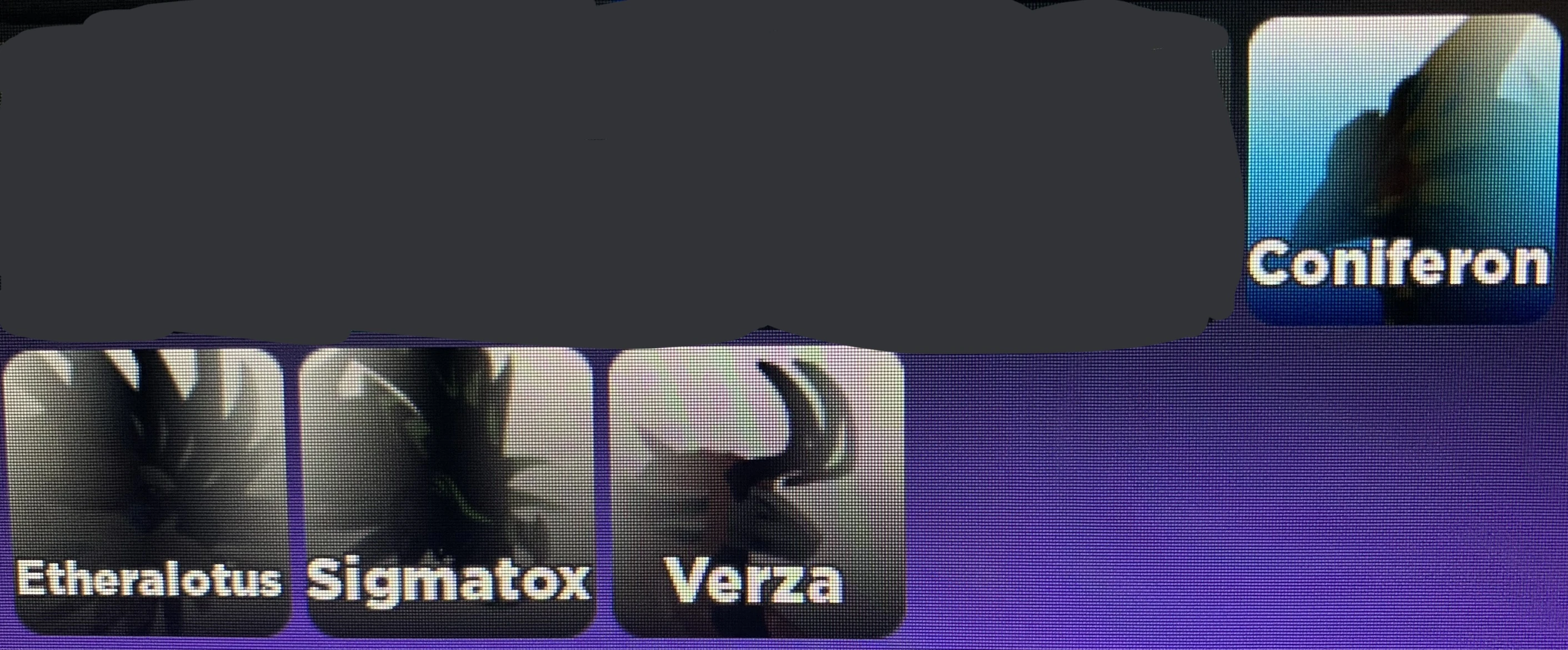 Buying coni | Fandom