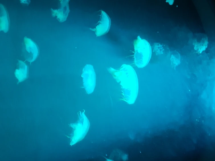 today I touched grass (sideways sob) | Fandom