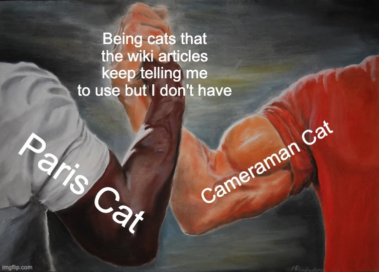 Battle Cats Memes | Fandom