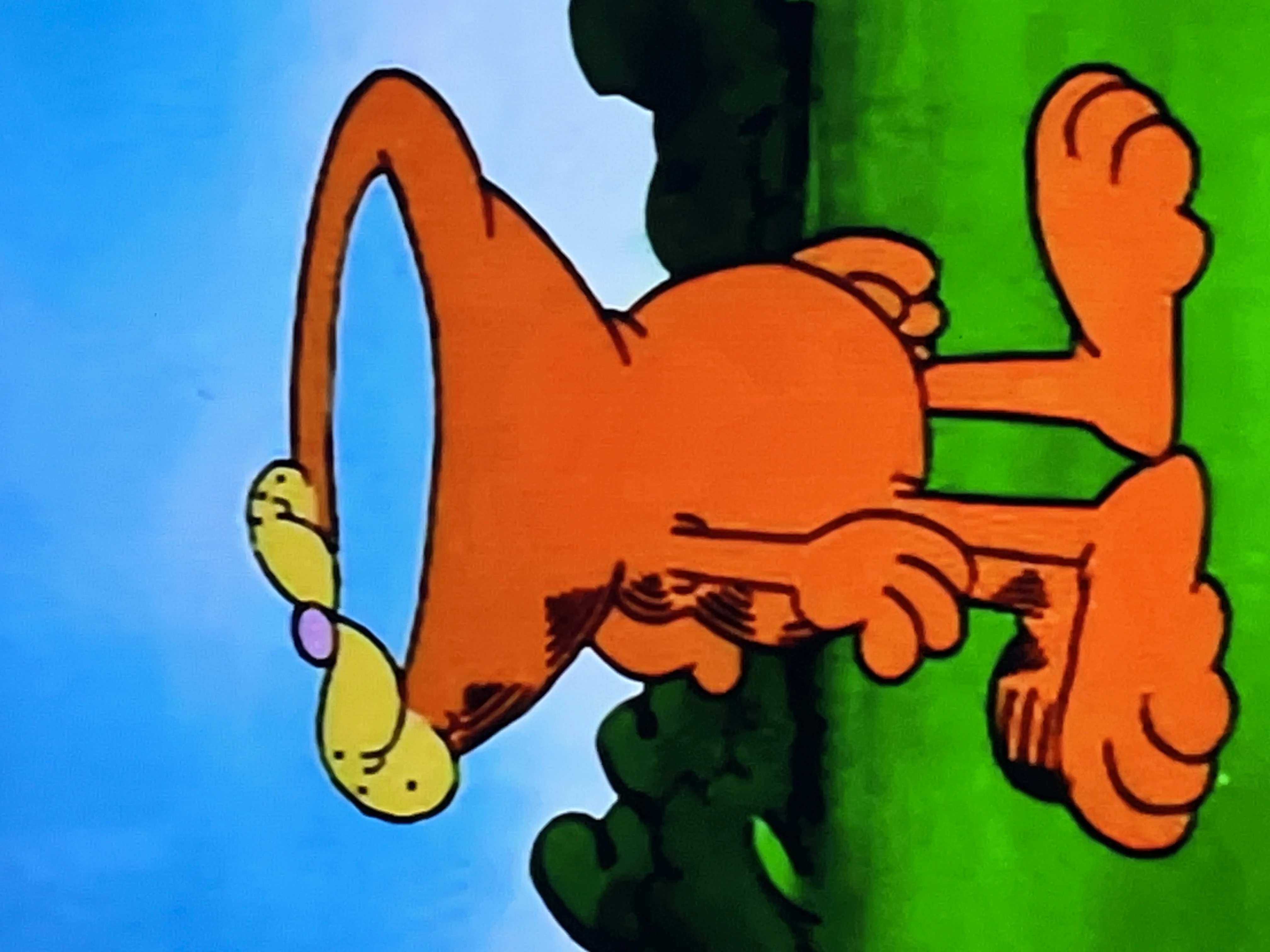 Garfield bird pool. | Fandom