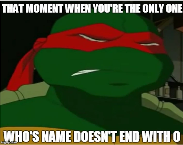 TMNT Meme Of The Day | Fandom