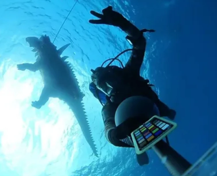 Surviving Earth post. | Fandom