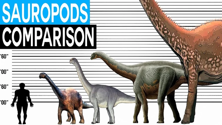 Dinos Que No Conocias Fandom