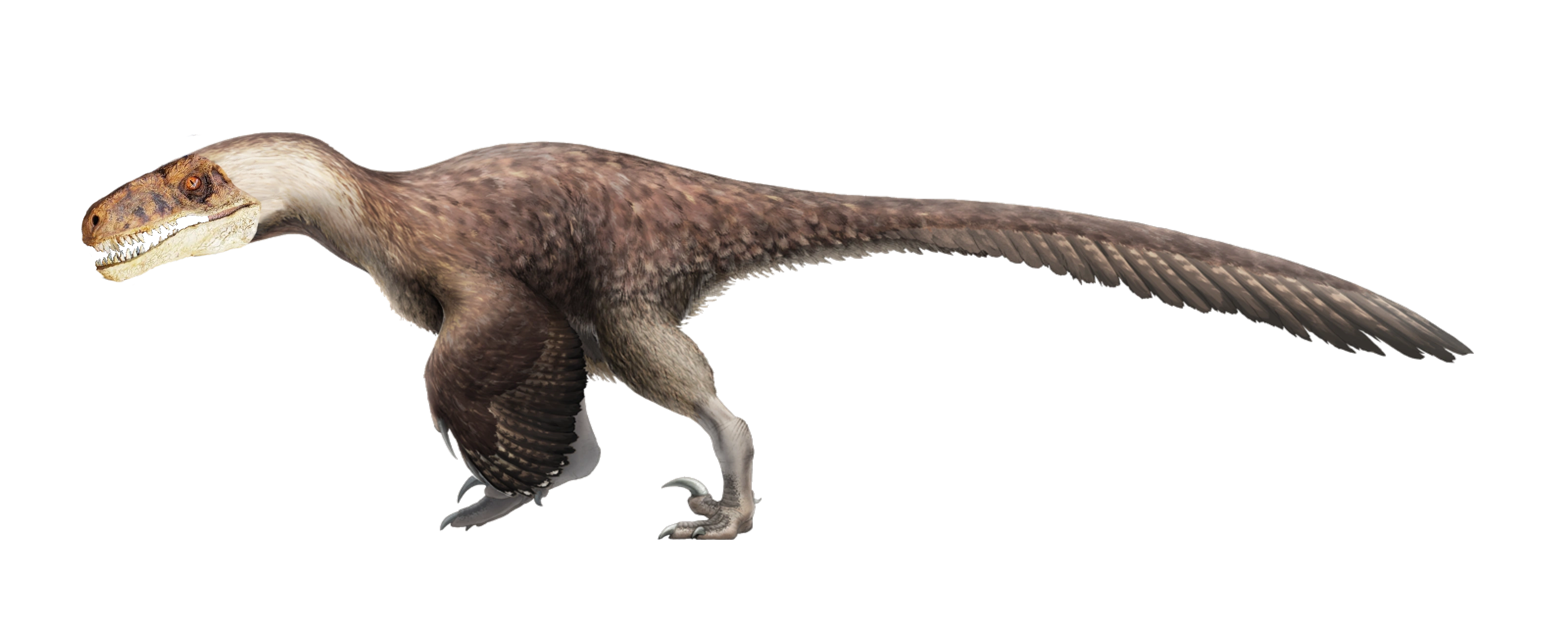 What I think the unknown theropod could look like. | Fandom