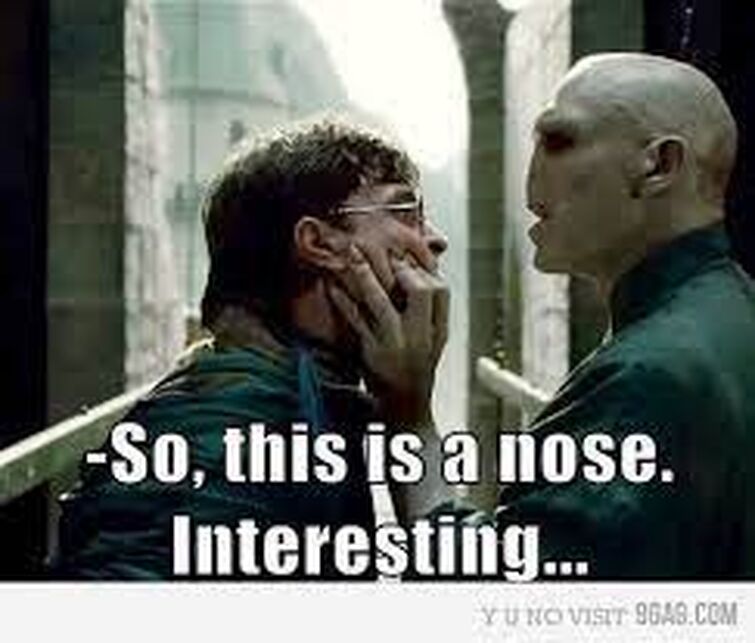 what is the thing that Voldemort doesn't have? | Fandom