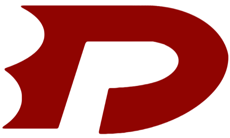 Danny Phantom Symbol | Fandom
