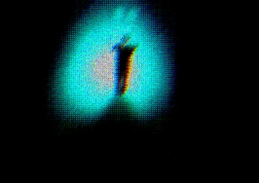 Discuss Everything About Raldi's Crackhouse Wiki | Fandom