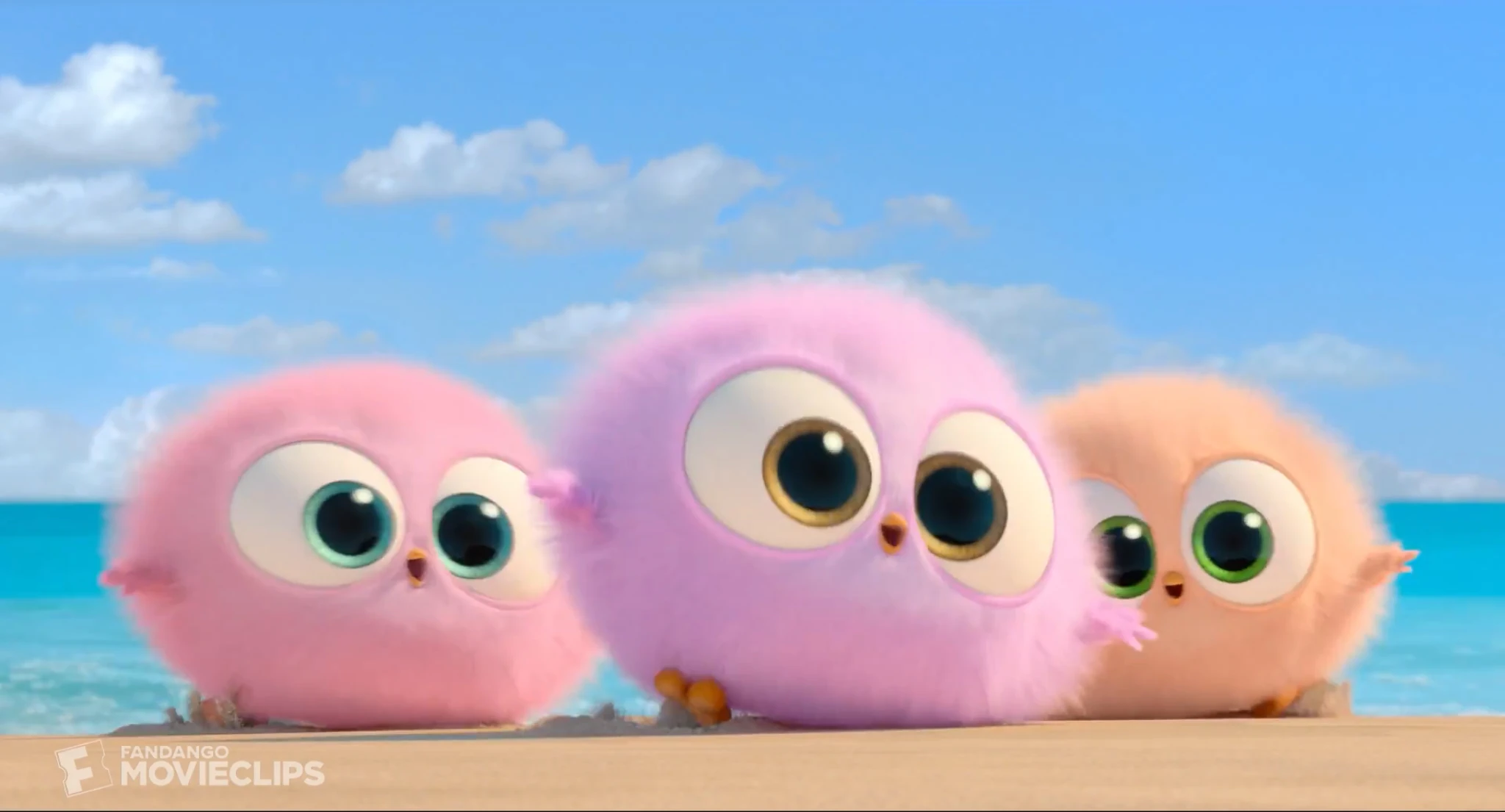 How cute are these hatchlings? | Fandom