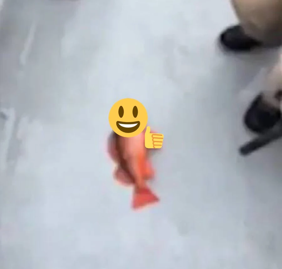 Goofy ahh fish | Fandom