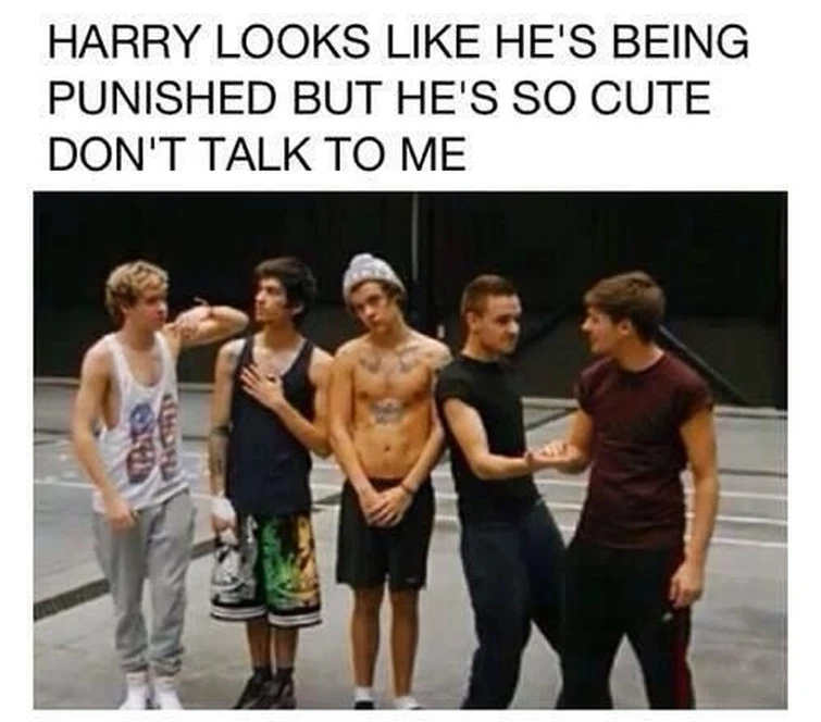 Discuss Everything About One Direction Wiki | Fandom