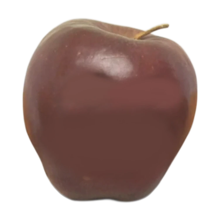 Discuss Everything About Annoying Orange Wiki | Fandom