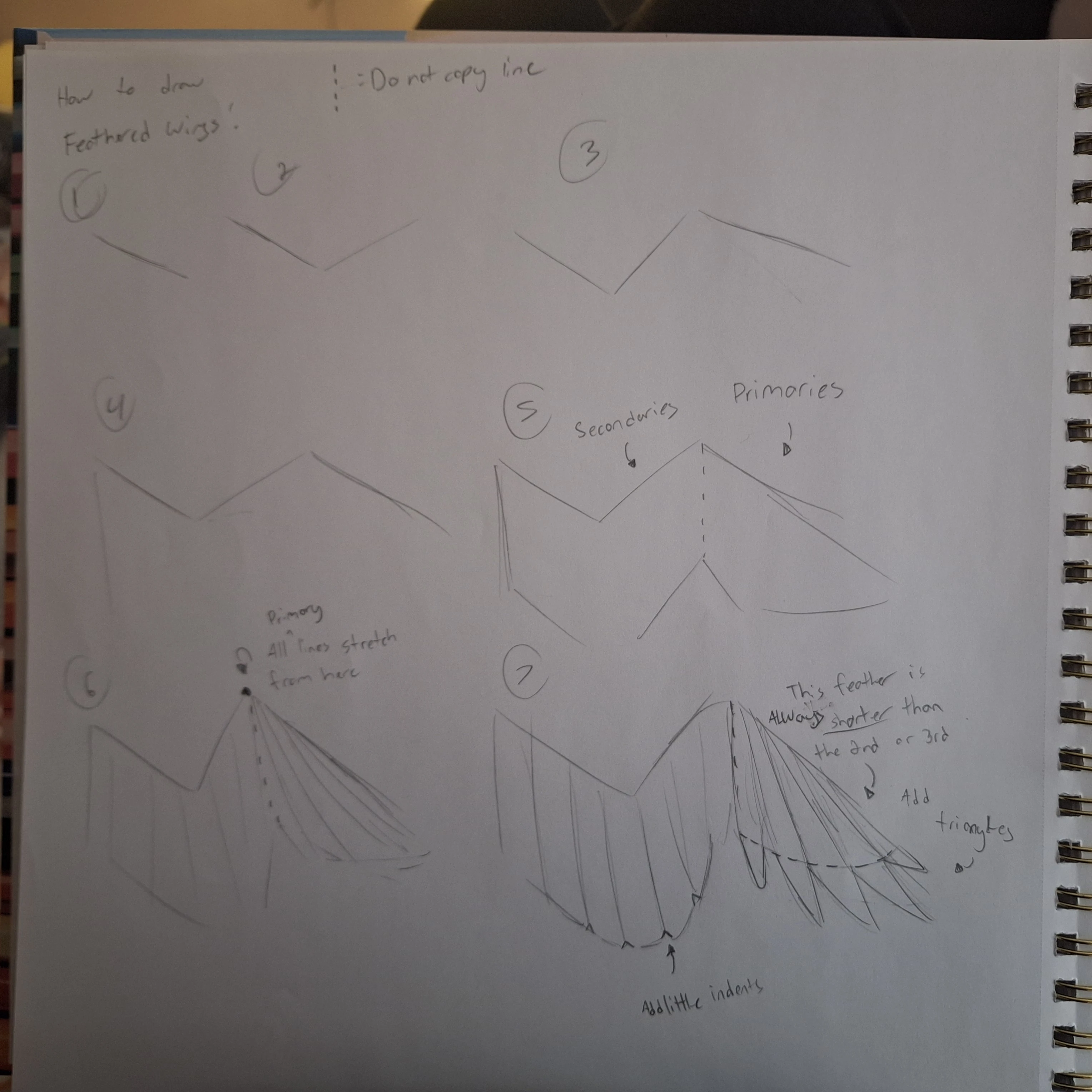 How to draw FEATHERED wings (SUPER EASY) (REPOST) | Fandom