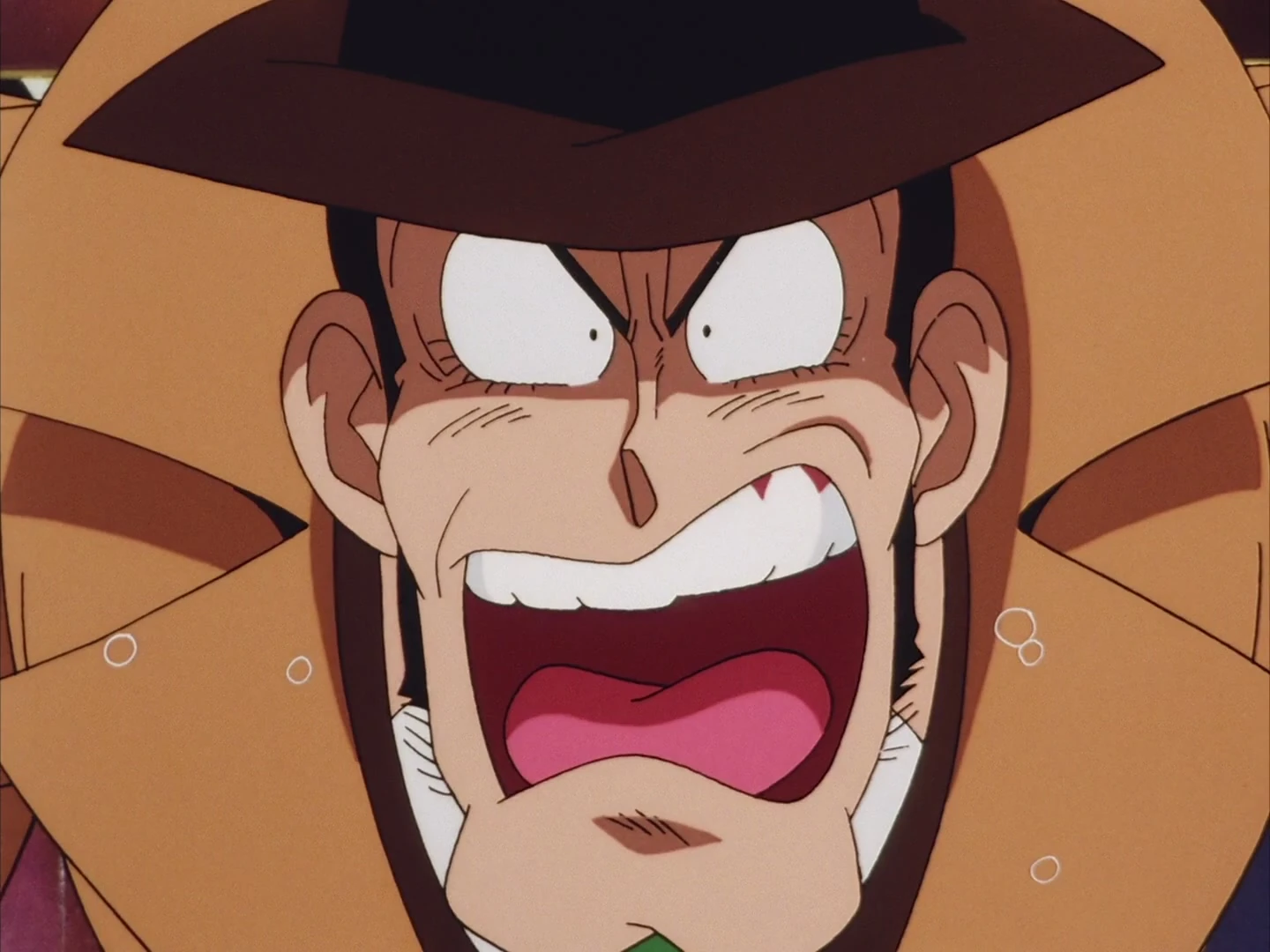 YOU’VE BEEN ZENIGATA’D | Fandom