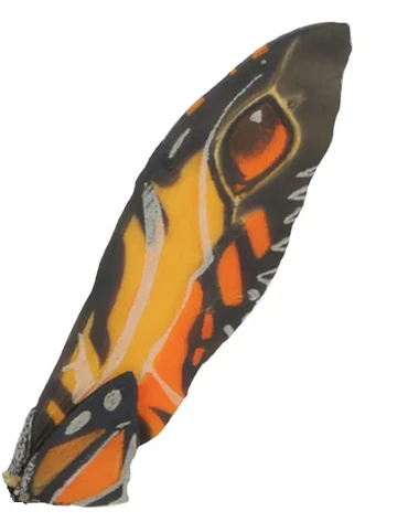 What patterns on mothra's (2019) wings do you like the most? | Fandom