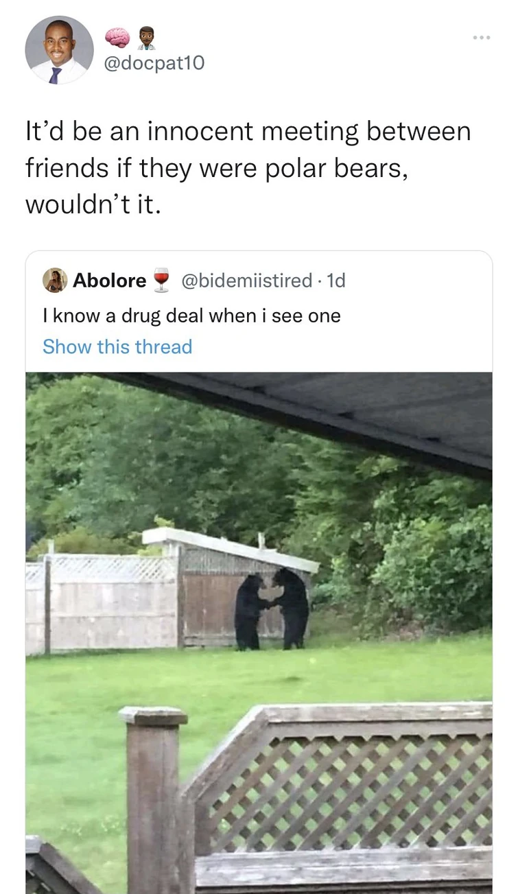 Is this normal? | Fandom