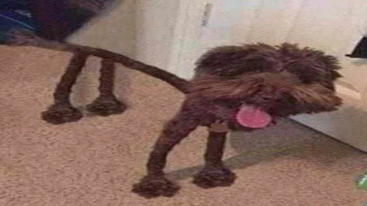 the FOURTH image in the replied will be my pfp (please don't put an ...