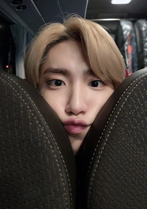 daily skz 😈 | Fandom