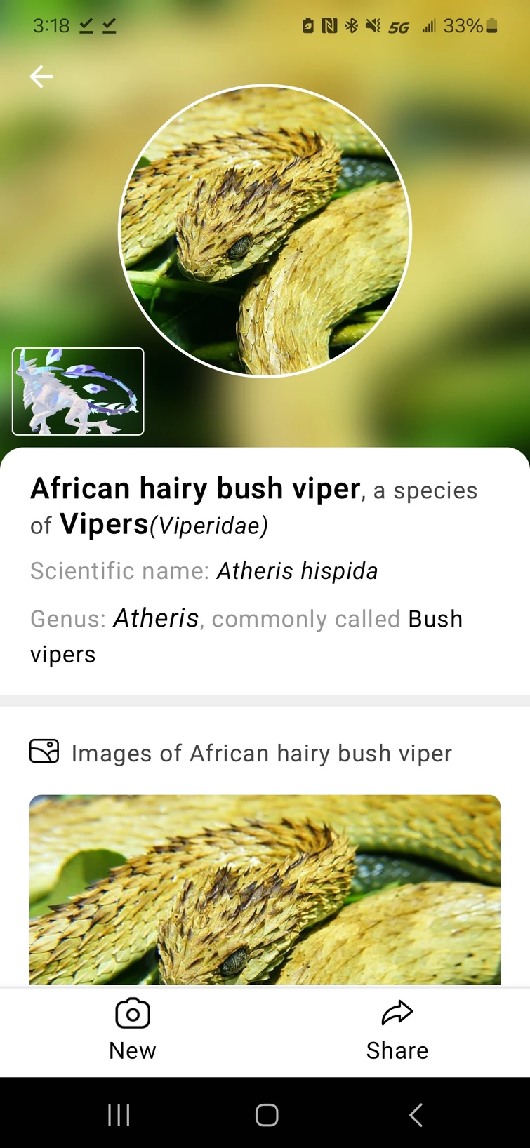 Searching animal species with cos creatures | Fandom