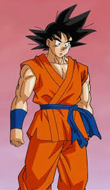 Goku’s best gi? | Fandom