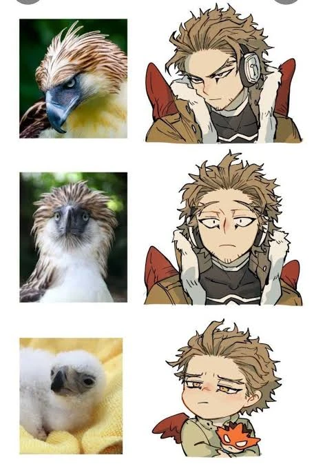 Hawks and the Filipino Eagle | Fandom