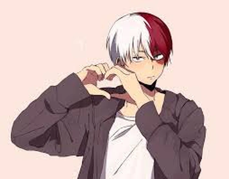 And Todoroki | Fandom
