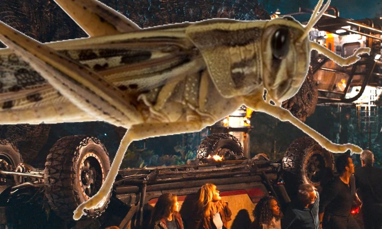 Saw this on twitter | Fandom