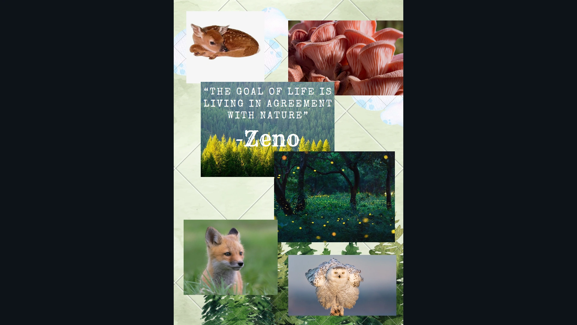 First moodboard ever!! | Fandom