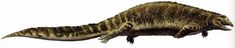 placodus gigas | Fandom