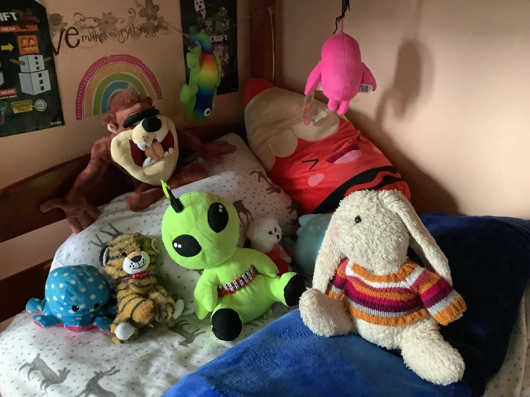 sleeping setup reveal | Fandom