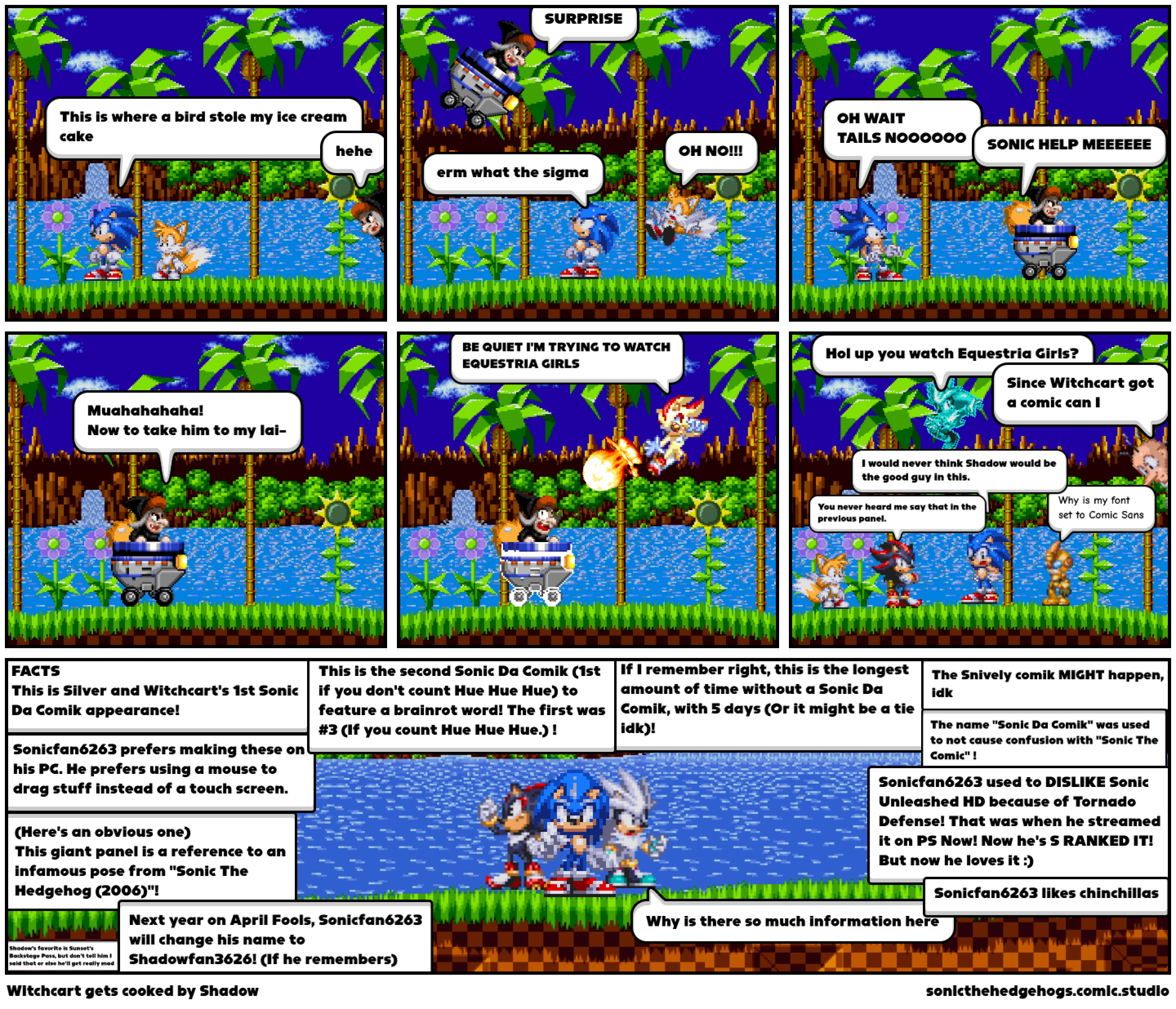 Sonic Da Comik #17: Witchcart gets cooked by Shadow + Facts | Fandom