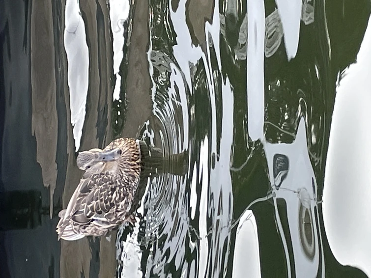 Write a cringe Wattpad story chapter 2 | Fandom